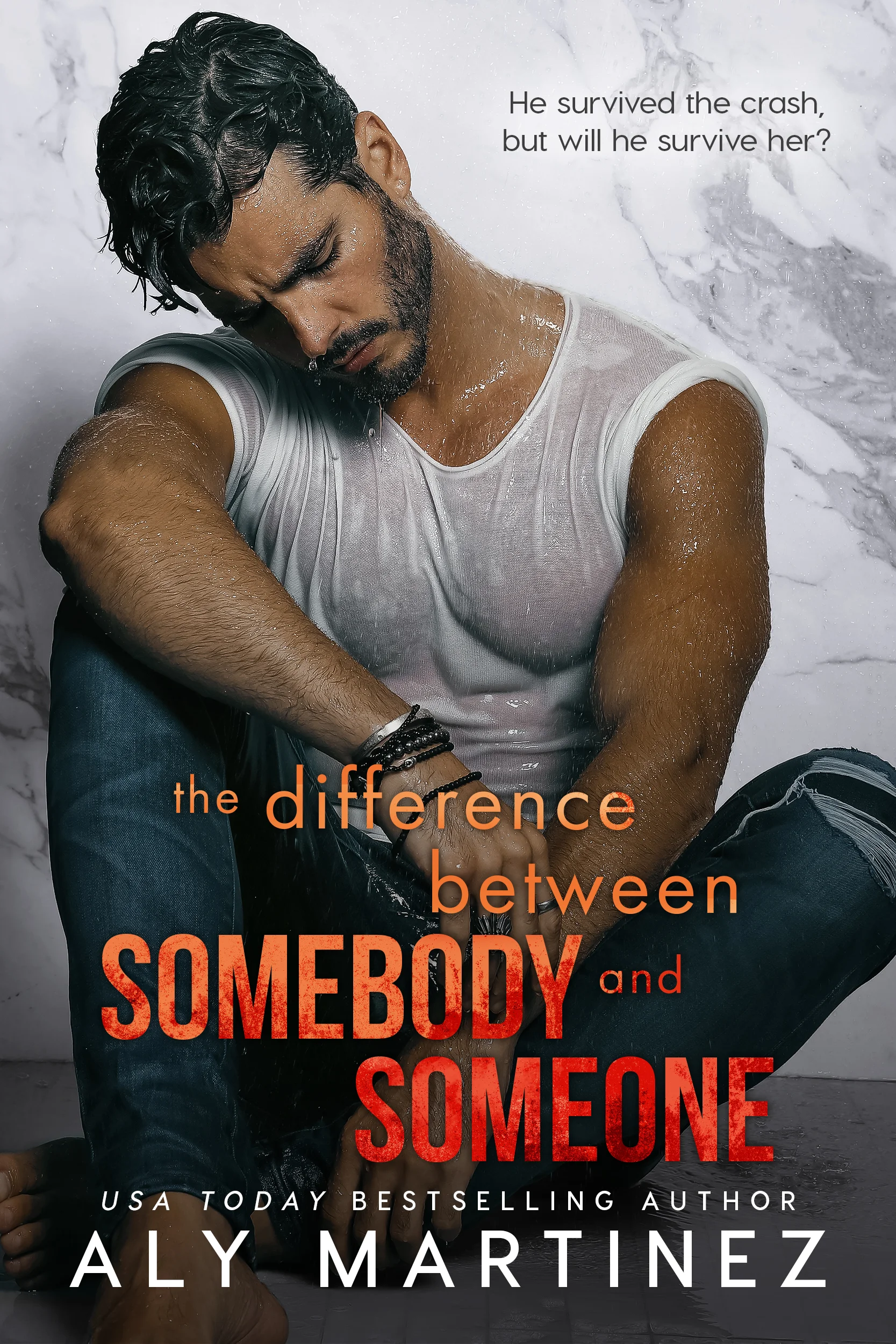 Summary of 'The Difference Between Somebody and Someone' by Aly Martinez