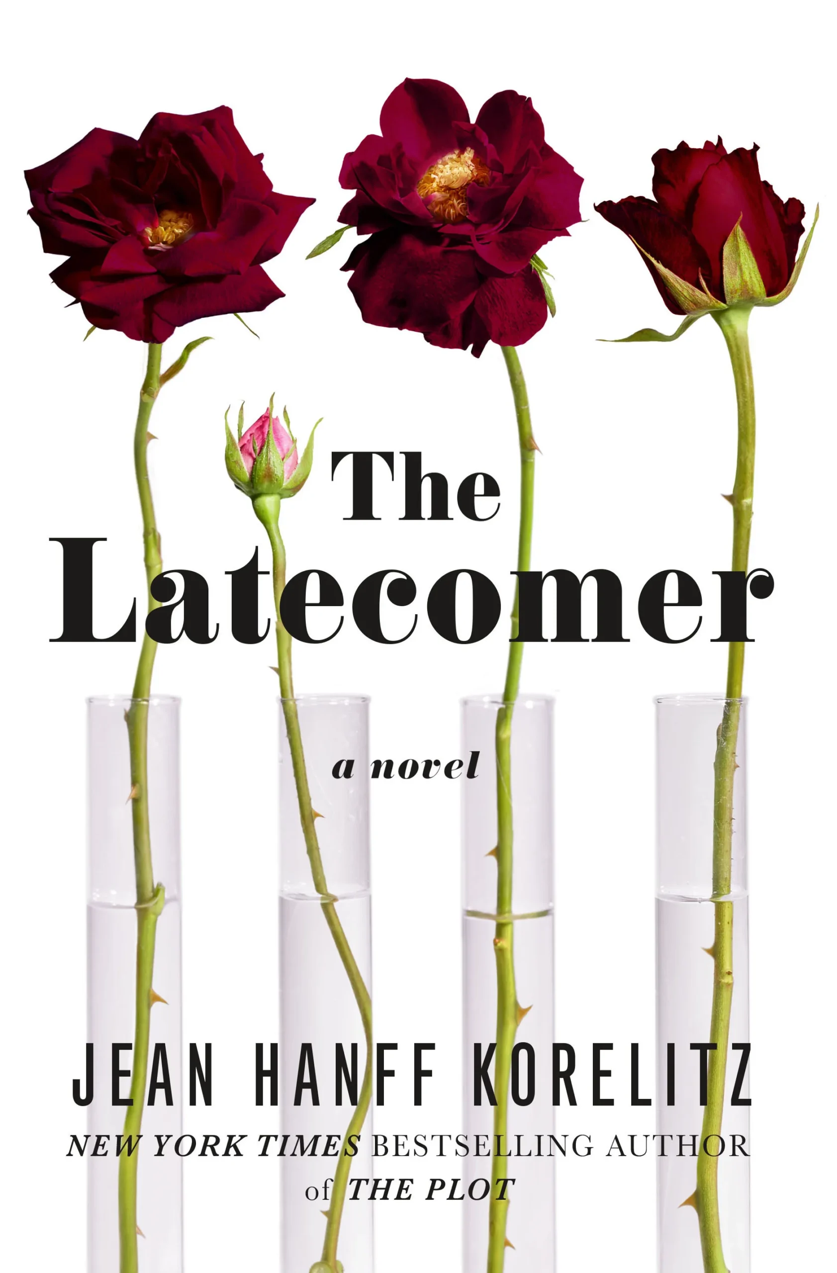 Summary of 'The Latecomer' by Jean Hanff Korelitz: A Detailed Synopsis