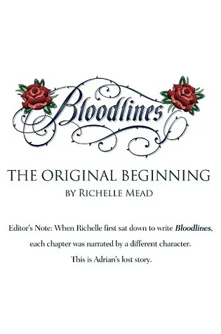 Summary of 'Adrian's Lost Chapter' by Richelle Mead: A Detailed Synopsis