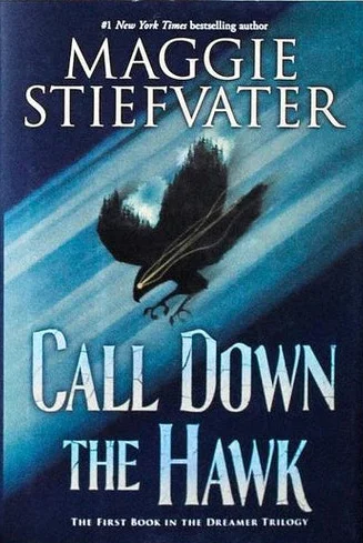 Summary of 'Call Down the Hawk' by Maggie Stiefvater