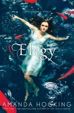 Summary of 'Elegy' by Amanda Hocking: A Detailed Synopsis