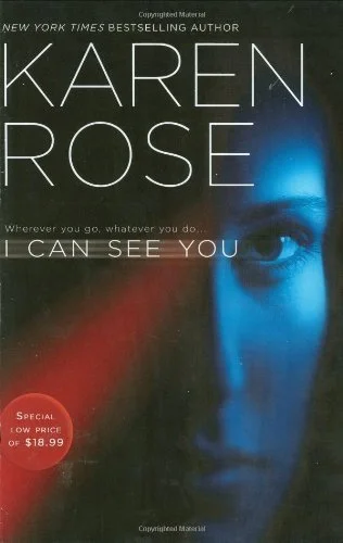 Summary of 'I Can See You' by Karen Rose: A Detailed Synopsis