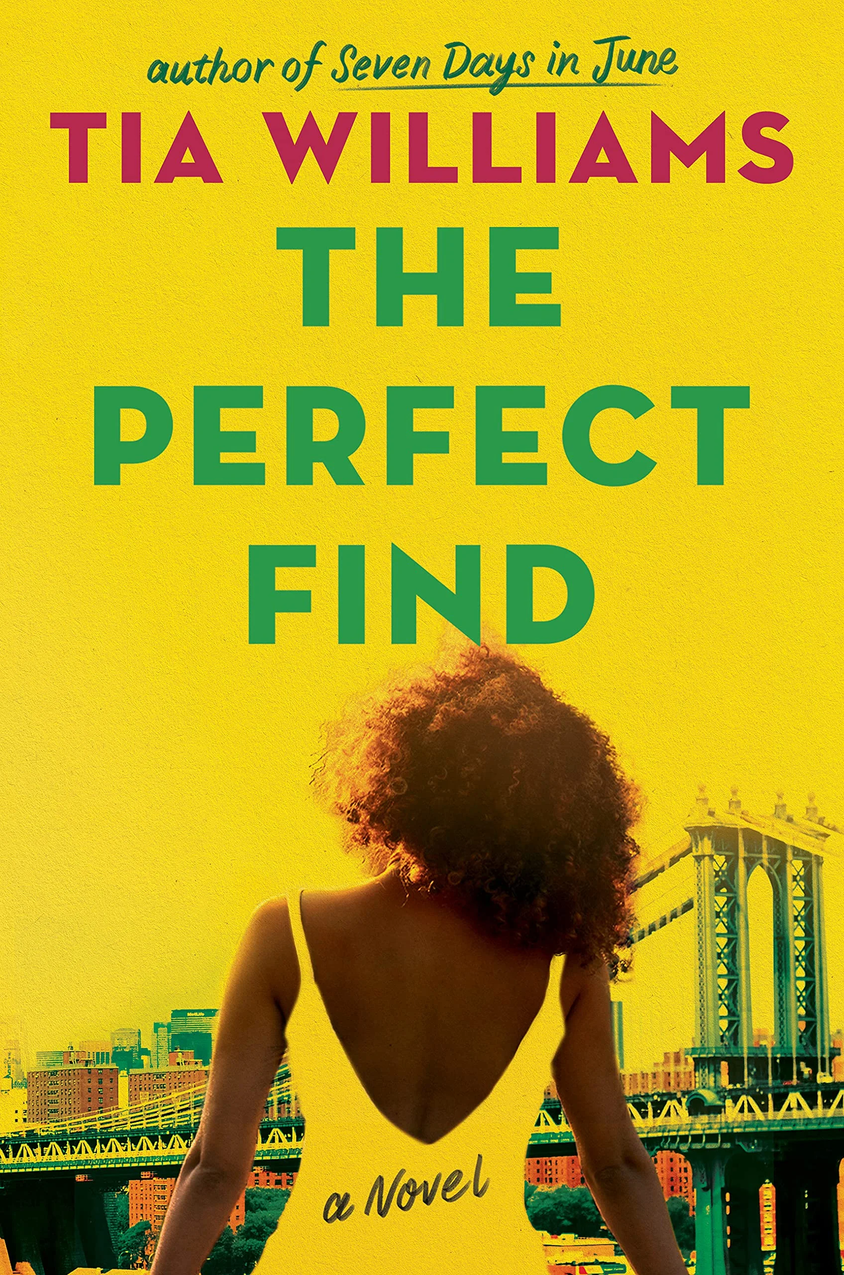 Summary of 'The Perfect Find' by Tia Williams: A Detailed Synopsis