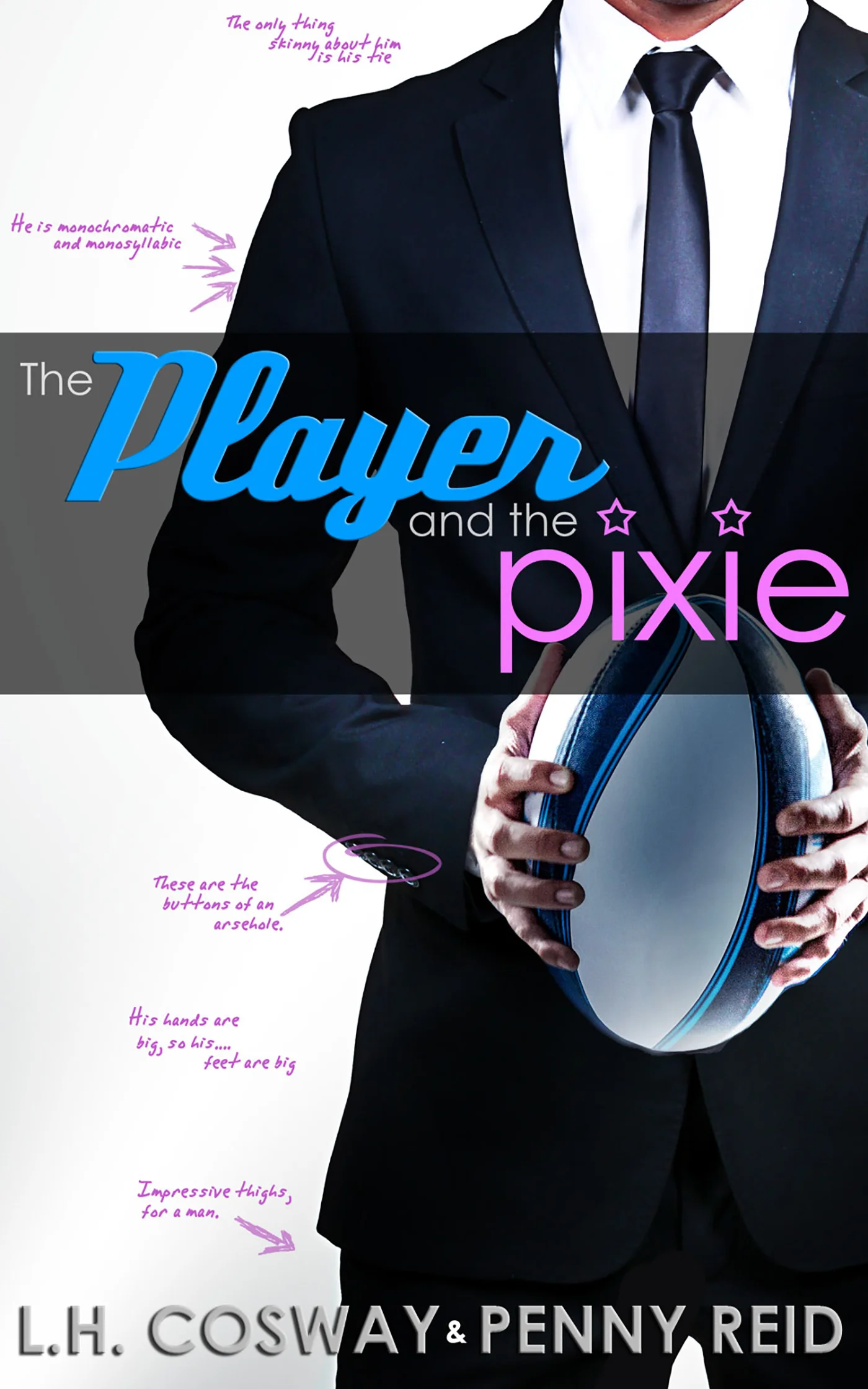 Summary of 'The Player and the Pixie' by L.H. Cosway and Penny Reid