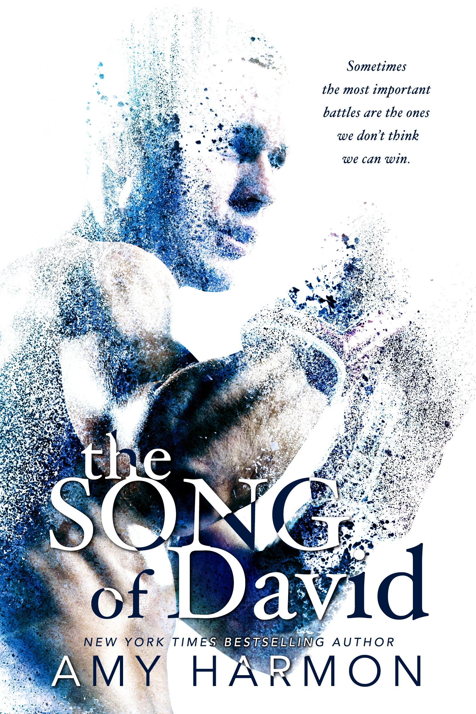 Summary of 'The Song of David' by Amy Harmon: A Detailed Synopsis