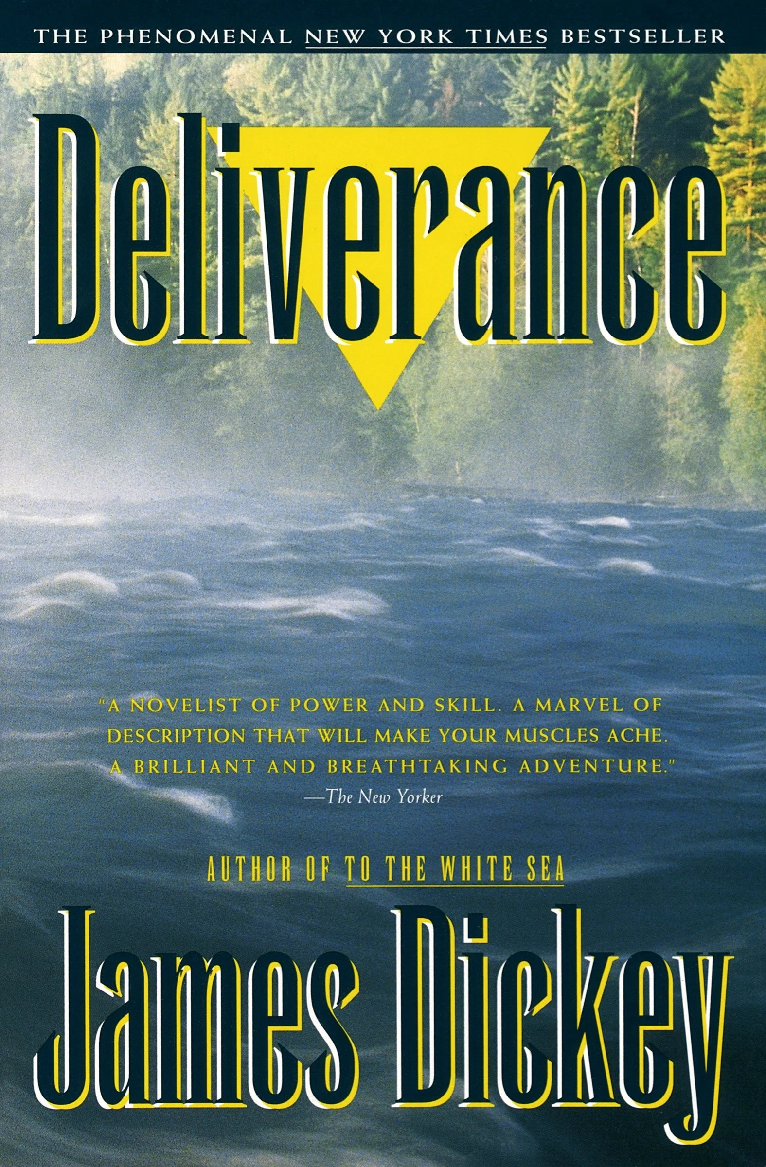 Summary of 'Deliverance' by James Dickey: A Detailed Synopsis