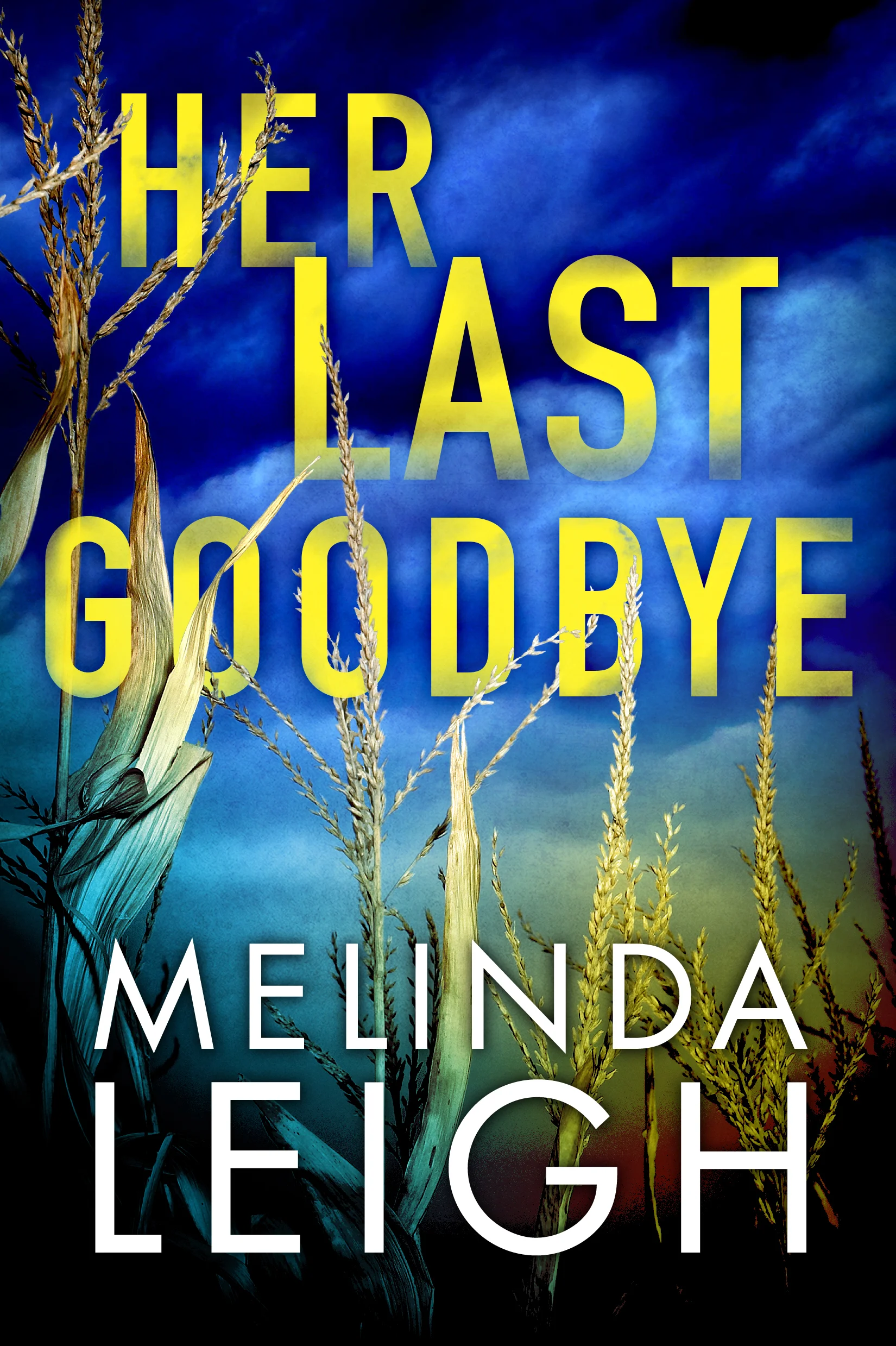 Summary of 'Her Last Goodbye' by Melinda Leigh: A Detailed Synopsis