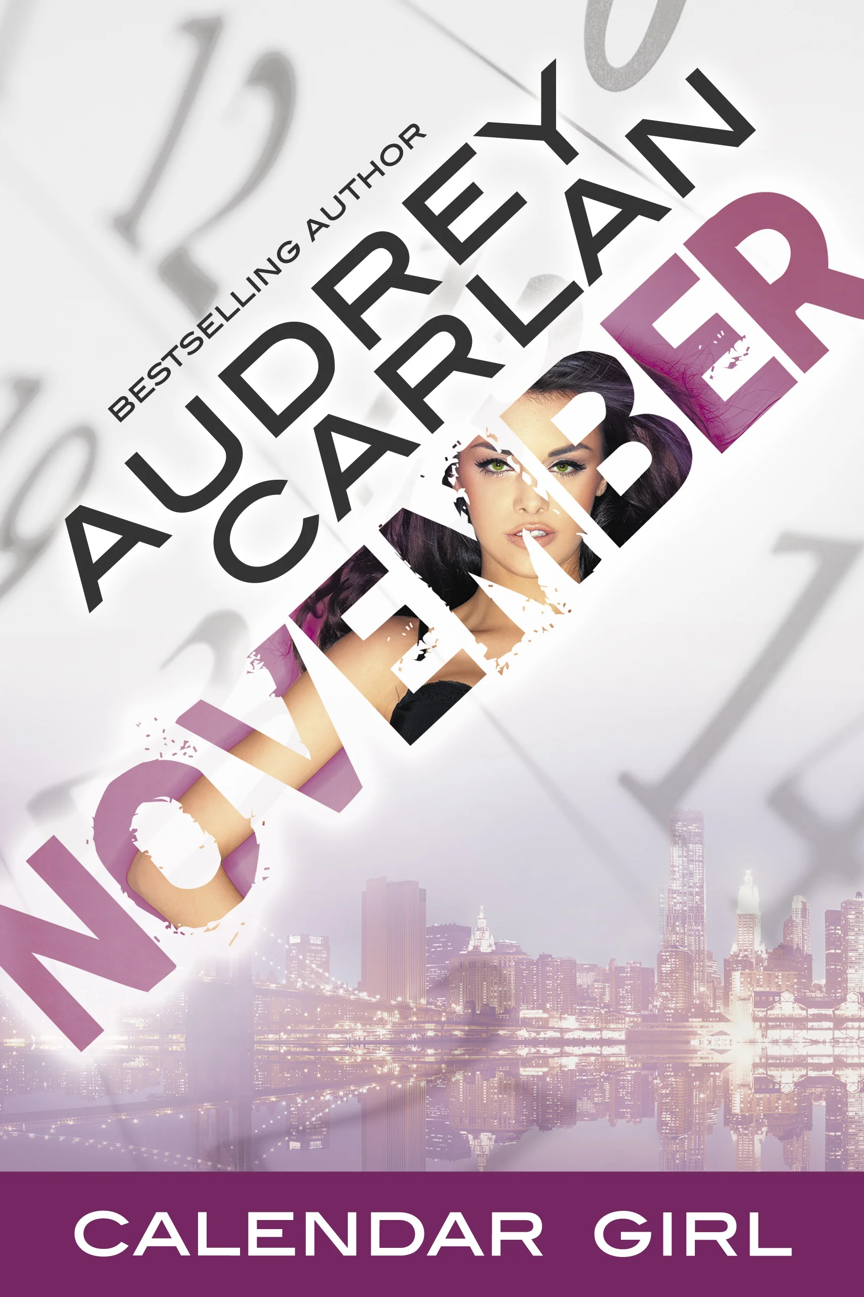 Summary of 'Calendar Girl: November' by Audrey Carlan
