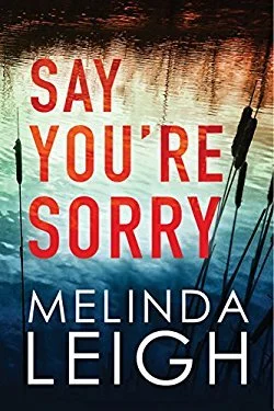 Summary of 'Say You're Sorry' by Melinda Leigh: A Detailed Synopsis