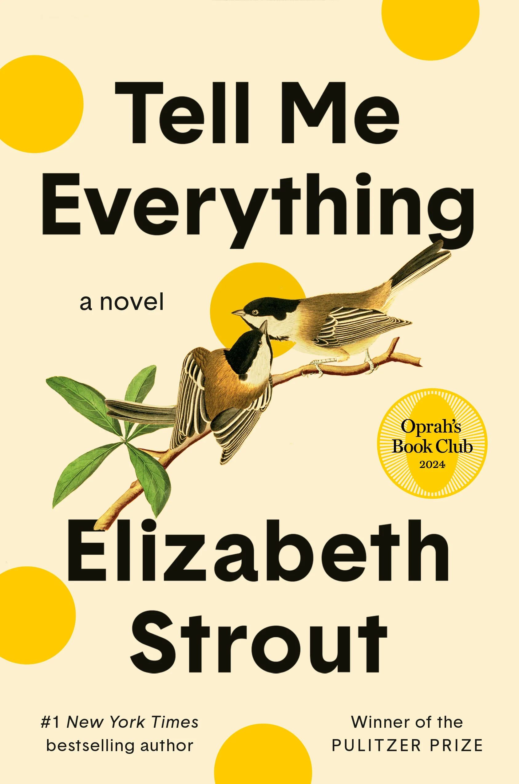Summary of 'Tell Me Everything' by Elizabeth Strout: A Detailed Synopsis