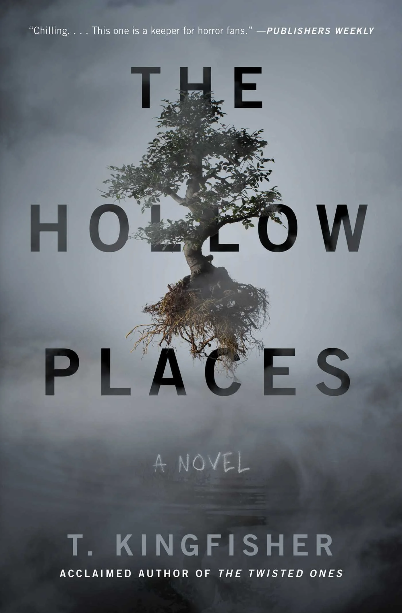 Summary of 'The Hollow Places' by T. Kingfisher: A Detailed Synopsis