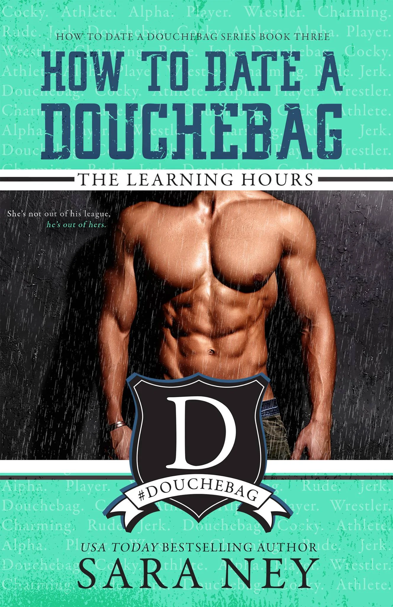 Summary of 'The Learning Hours' by Sara Ney: A Detailed Synopsis