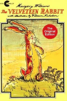 Summary of 'The Velveteen Rabbit' by Margery Williams Bianco